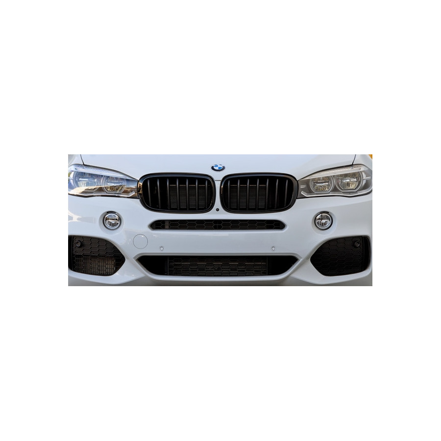 Grille set BMW X5/X6 (F15/F16) M-performance look voor o.a. BMW ...
