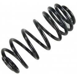 Buy Quality Coil & Leaf Springs - Shop Now at Winparts
