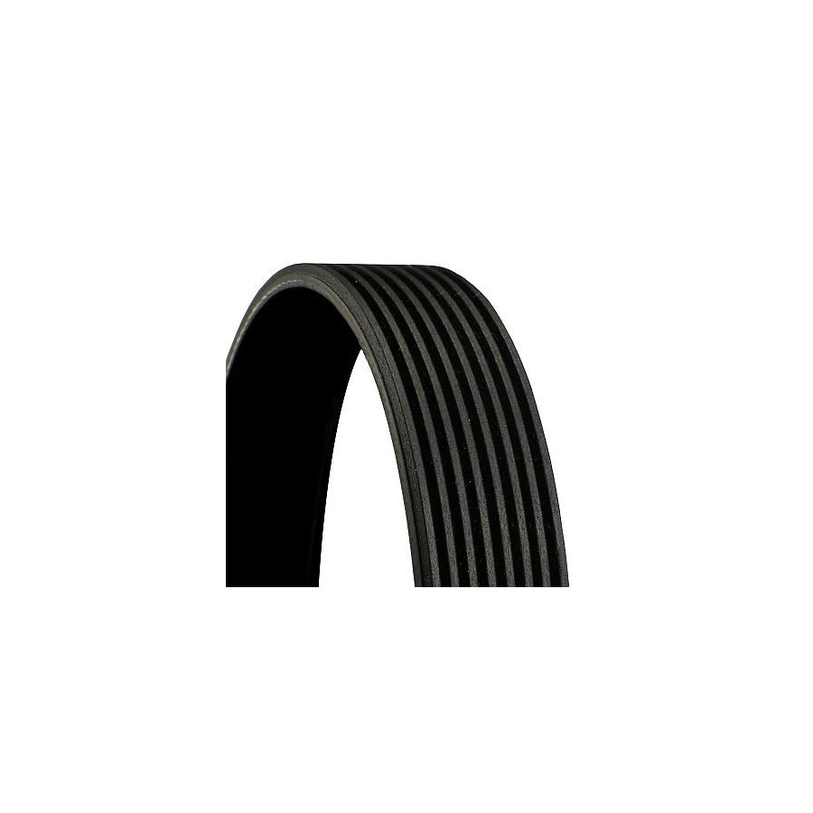 V-Ribbed Belts 8PK1580 Contitech | Winparts.eu - Auxiliary belt