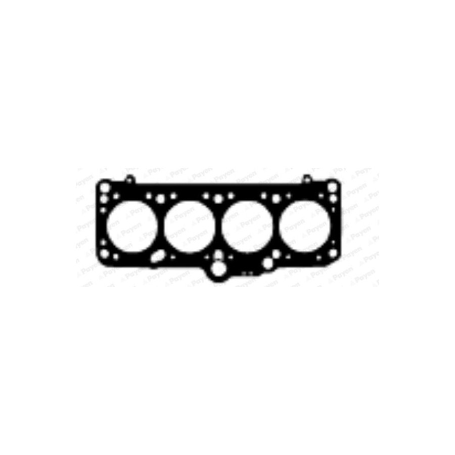 Gasket, cylinder head BN950 Payen | Winparts.ie - Cylinder head gasket