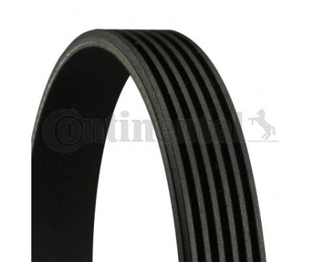 V-Ribbed Belts 6PK1538 Contitech | Winparts.ie - Auxiliary belt