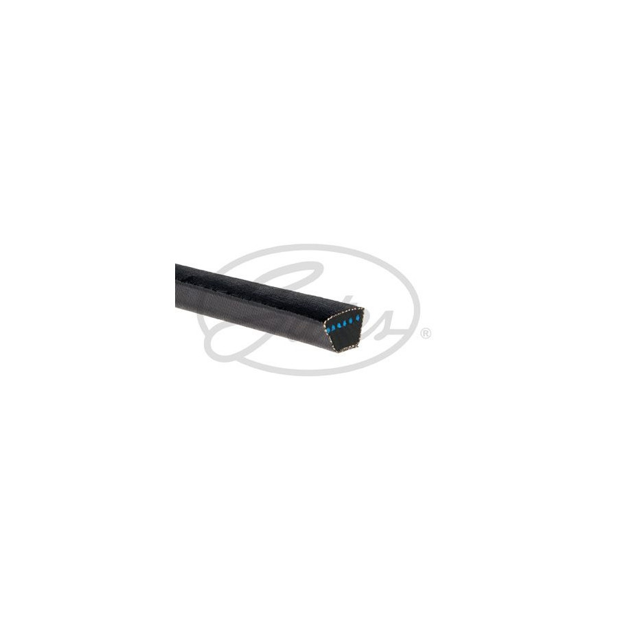 V-Belt FleetRunner? V-Belt AV13x725HD Gates | Winparts.eu - V-belt