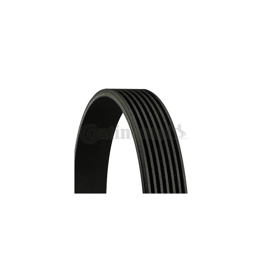 Multiriem 7PK1635 Contitech voor o.a. BMW, HONDA, LAND ROVER | Winparts ...