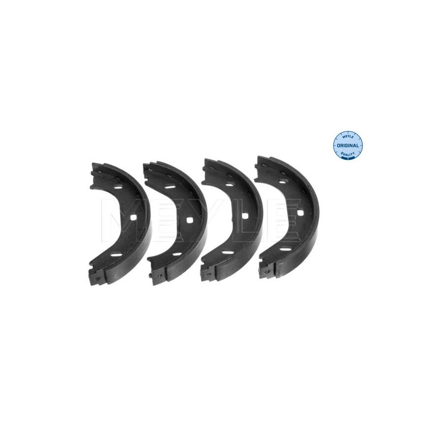 Remschoenset, parkeerrem voor o.a. BMW | Winparts.be - Remschoen set