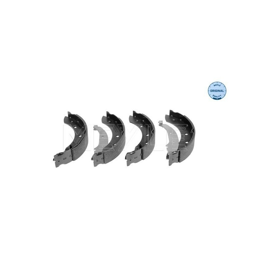 Remschoenset voor o.a. CITROEN, DACIA, PEUGEOT, RENAULT | Winparts.nl ...