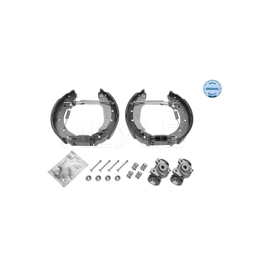 Remschoenset voor o.a. DACIA, RENAULT | Winparts.nl - Remschoen set