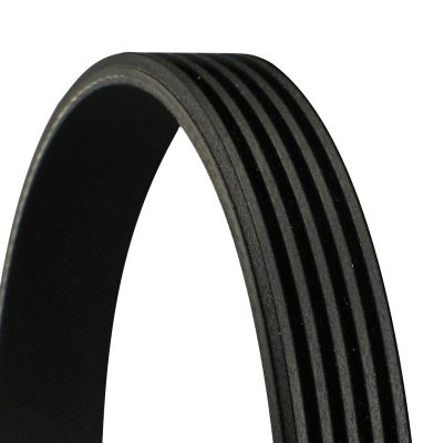 V-Ribbed Belts 5PK1250 Contitech | Winparts.ie - Serpentine belt